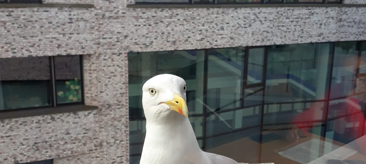 Herzlich Willkommen an der BS02 – Archiv – BS02 Hamburg